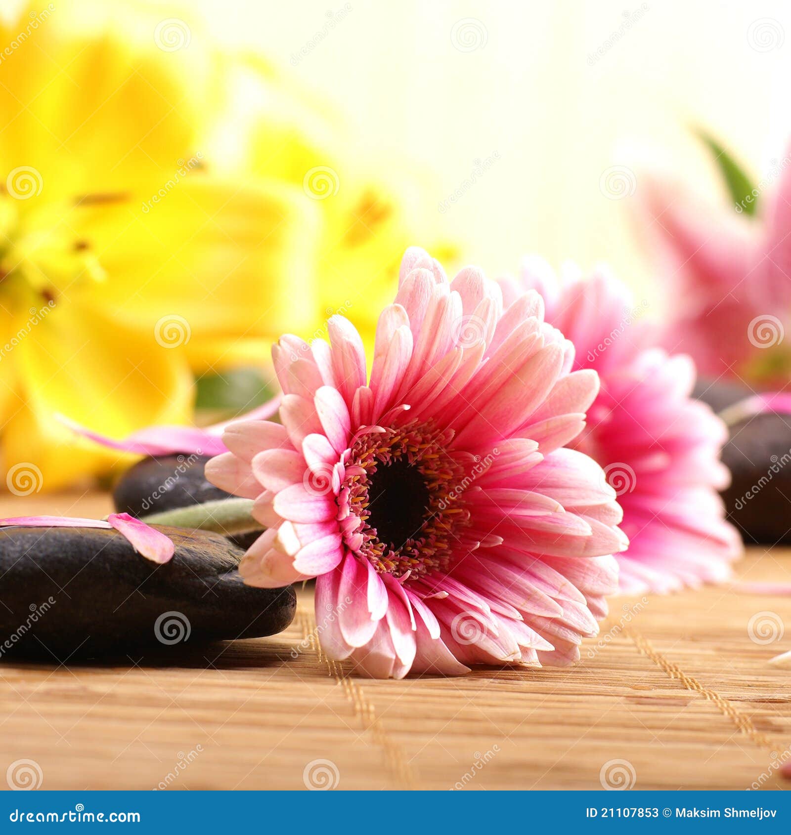 Spa Composition Made of Natural Objects Stock Image - Image of towel ...