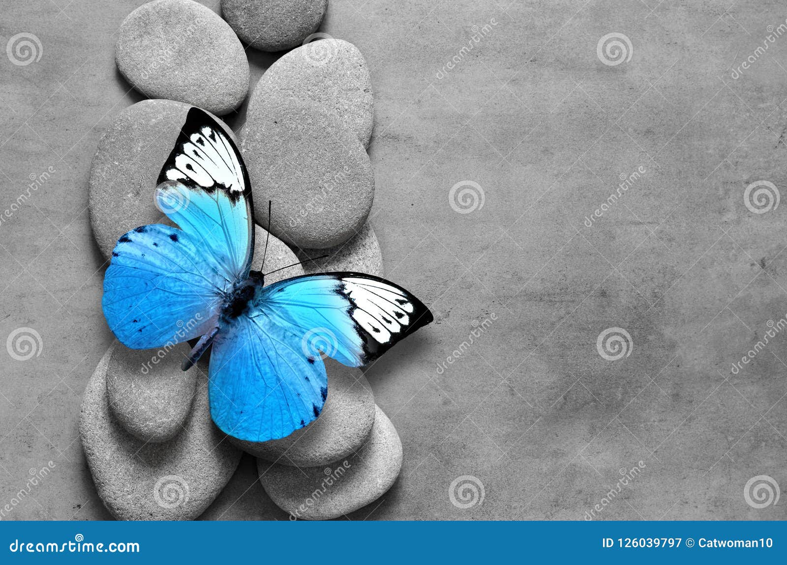 Spa Concept with Butterfly and Zen Stones. Stock Image - Image of ...