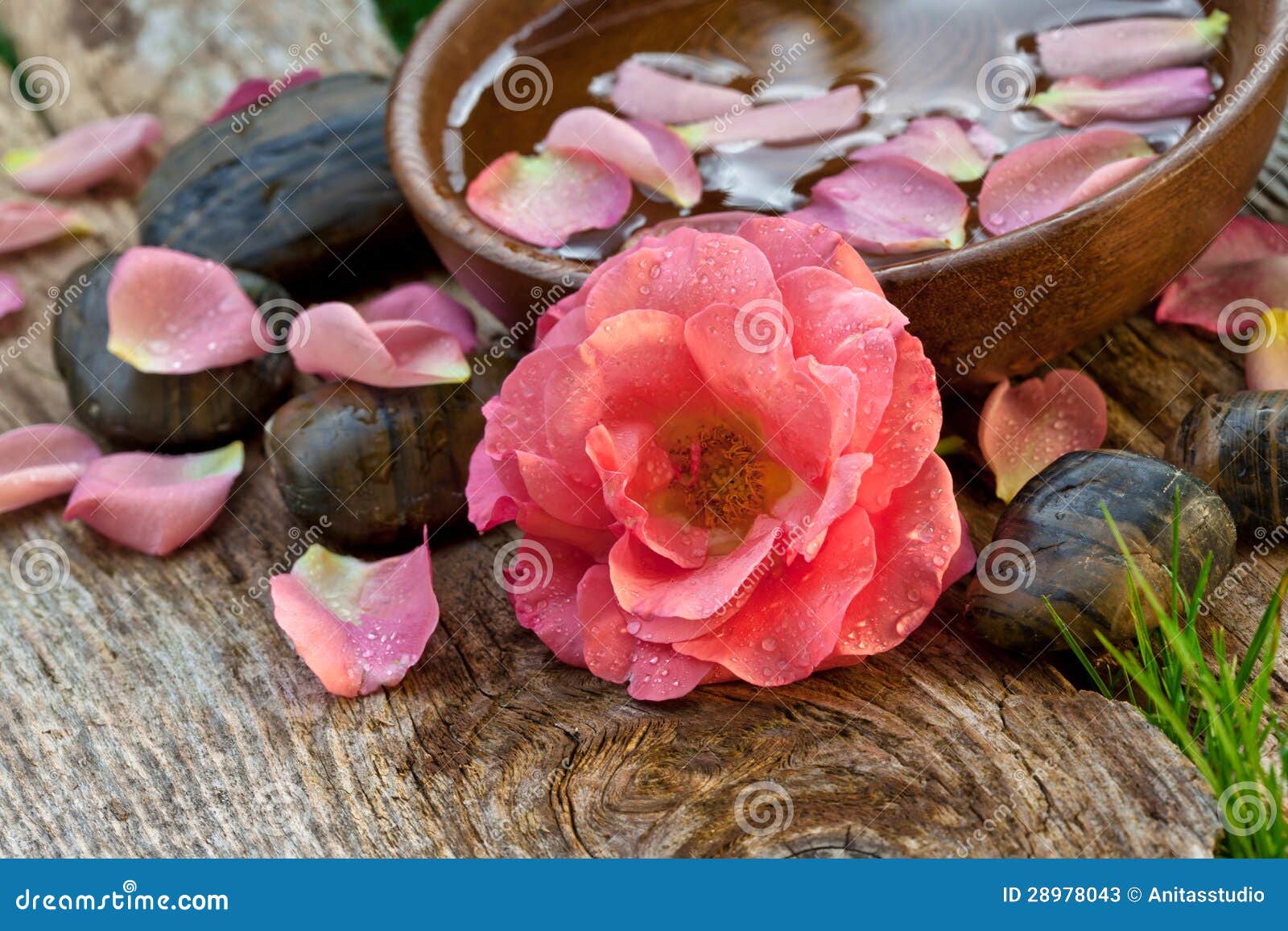 Spa Concept. Pink Flower with Zen Pebbles Stock Image - Image of ...