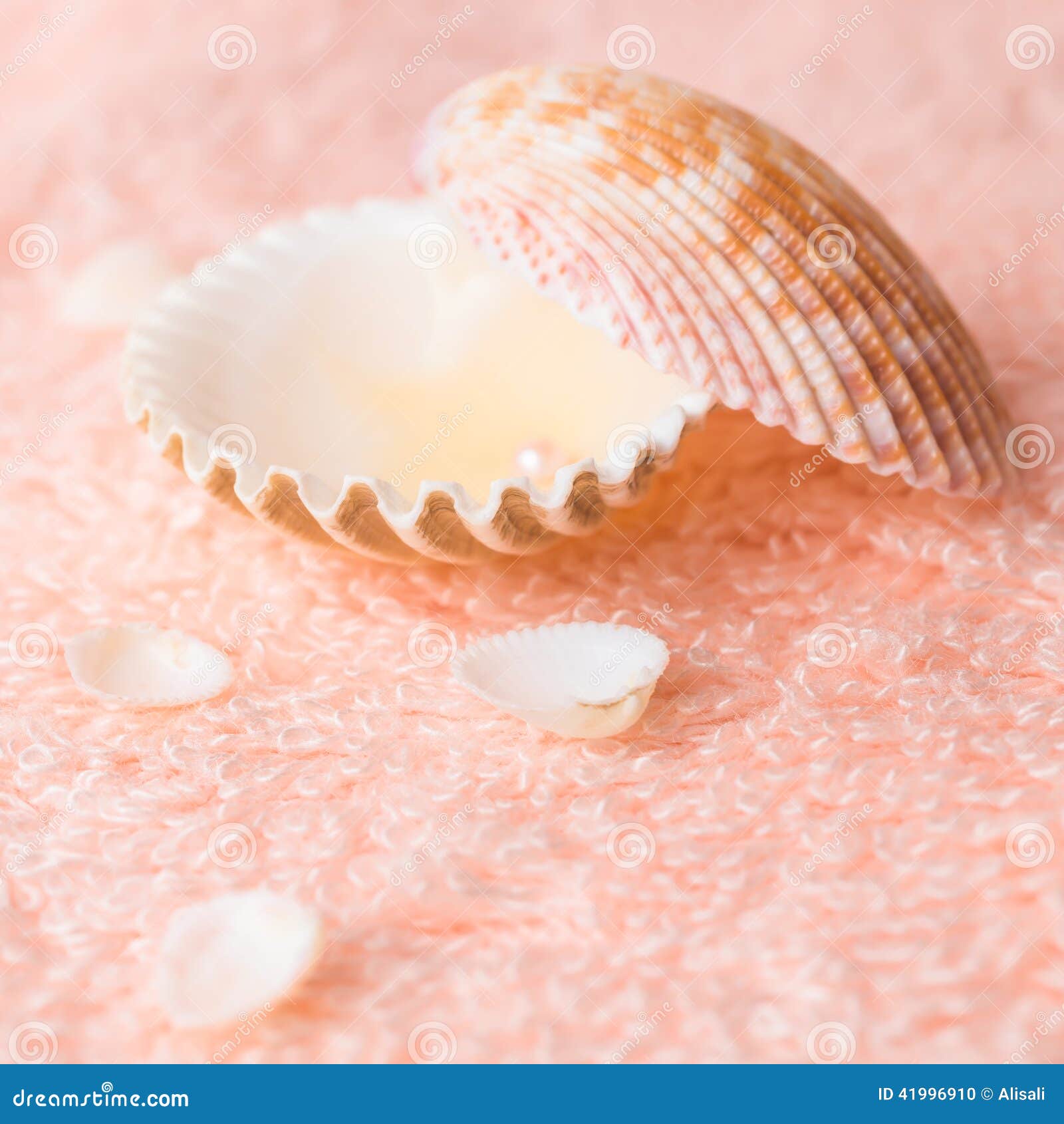 Spa Concept with Seashells and Pearl on Delicate Pink Texture Stock ...