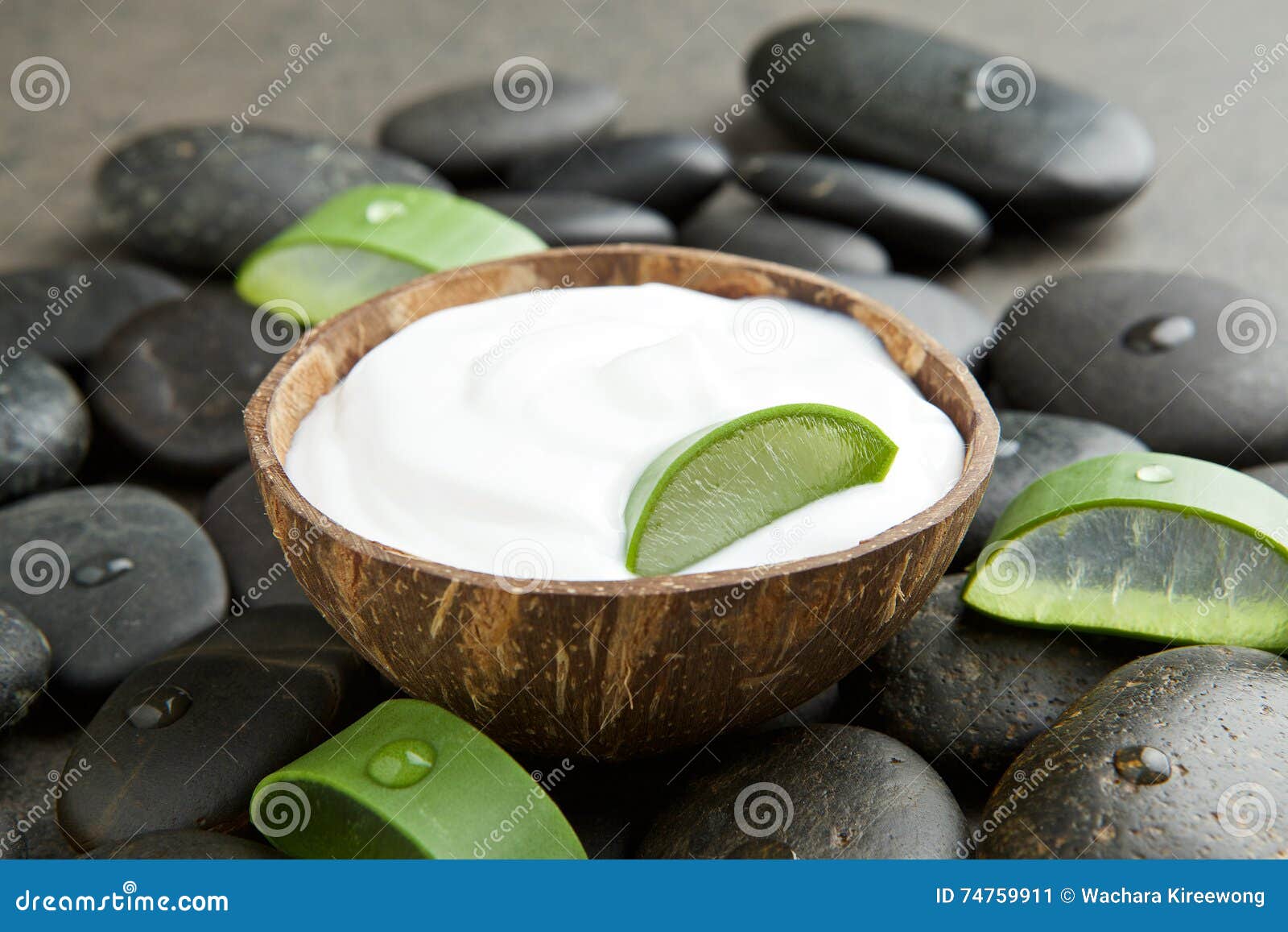 Spa Concept. Slice Aloe Vera on White Cream in Coconut Shell Wit Stock ...