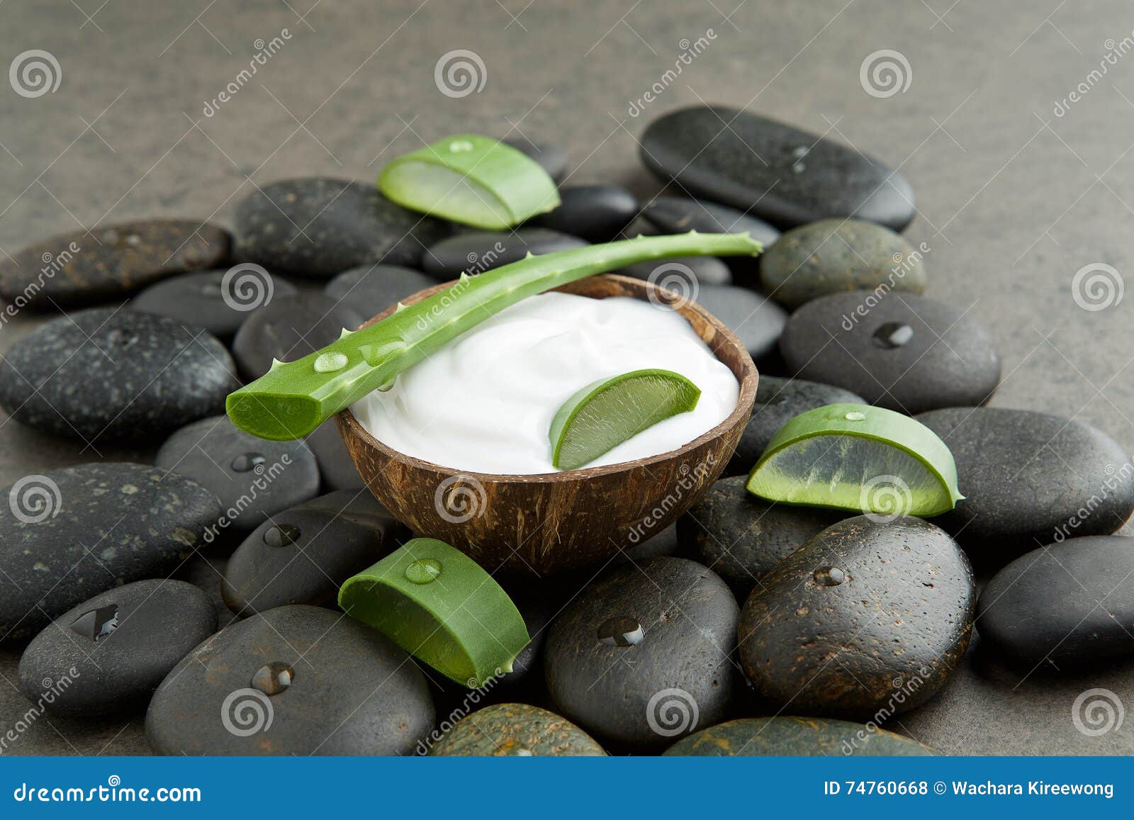 Spa Concept. Slice Aloe Vera on White Cream in Coconut Shell Wit Stock ...
