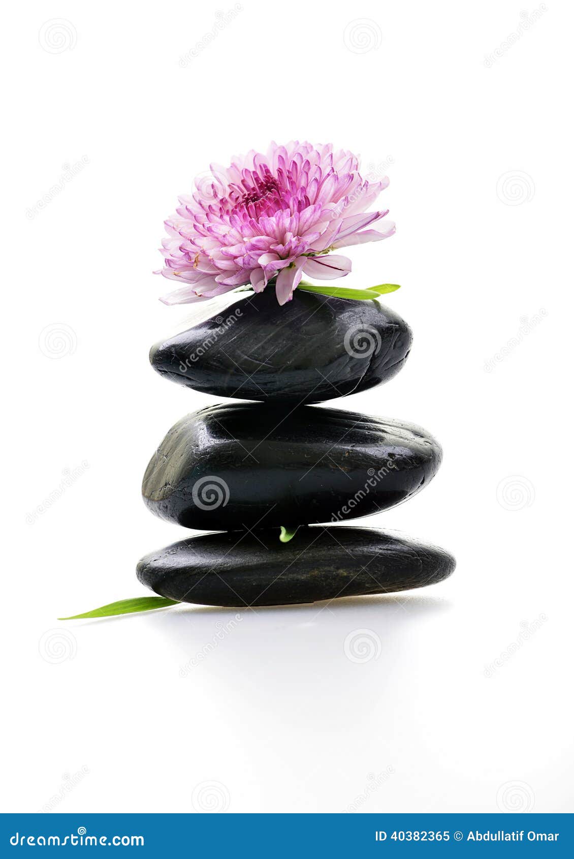 Spa Concept with Zen Stones and Daisy Stock Image - Image of blossom ...