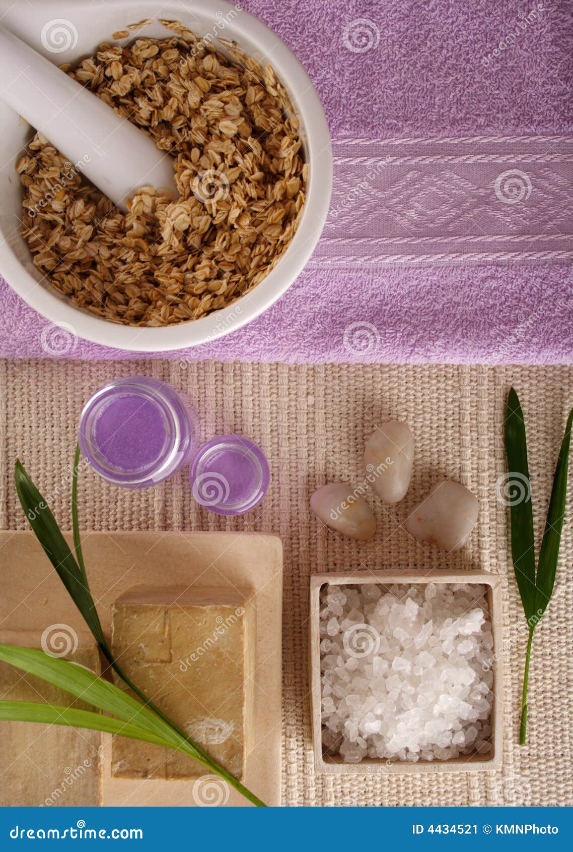 SPA cosmetics series stock image. Image of nature, products - 4434521