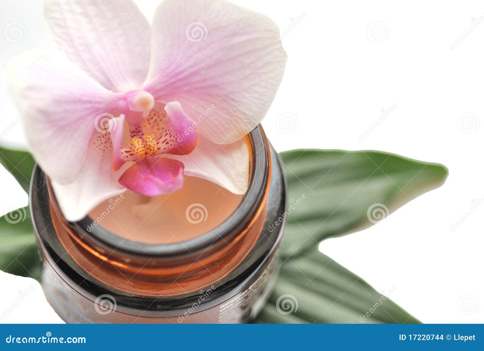 Spa cream stock photo. Image of relaxation, therapy, treatment - 17220744