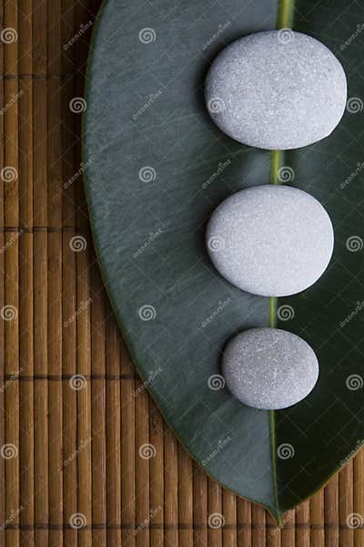 Spa Elements stock photo. Image of stone, exotic, life - 11119344
