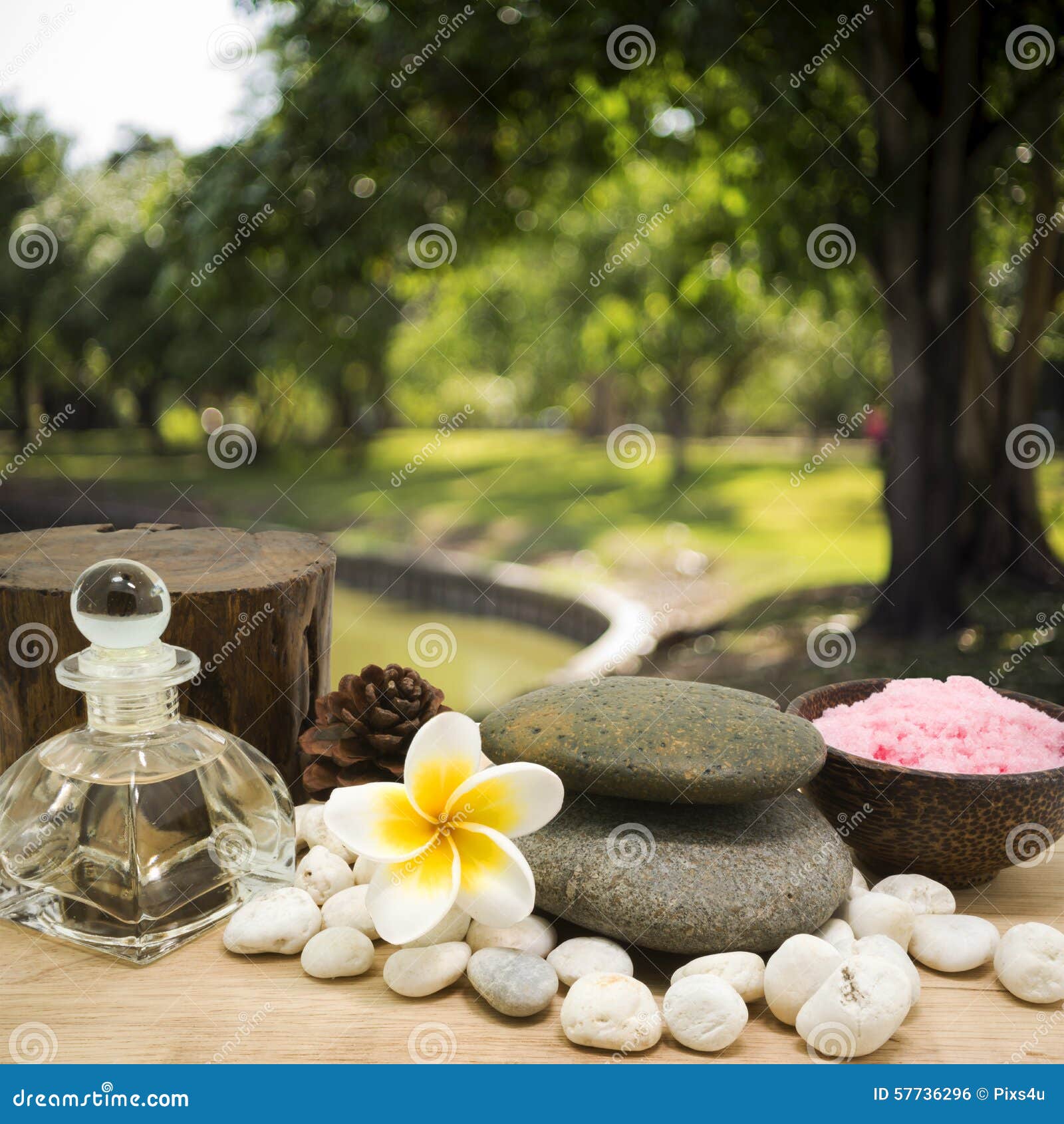 Spa Elements with Beautiful Natural Background Stock Photo - Image of ...