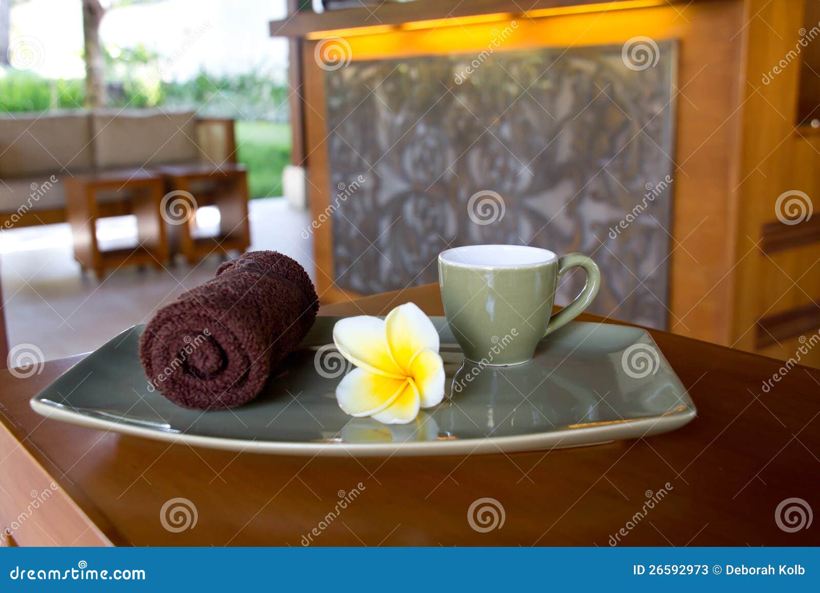 Spa Entry Way stock image. Image of bowl, petals, bath - 26592973