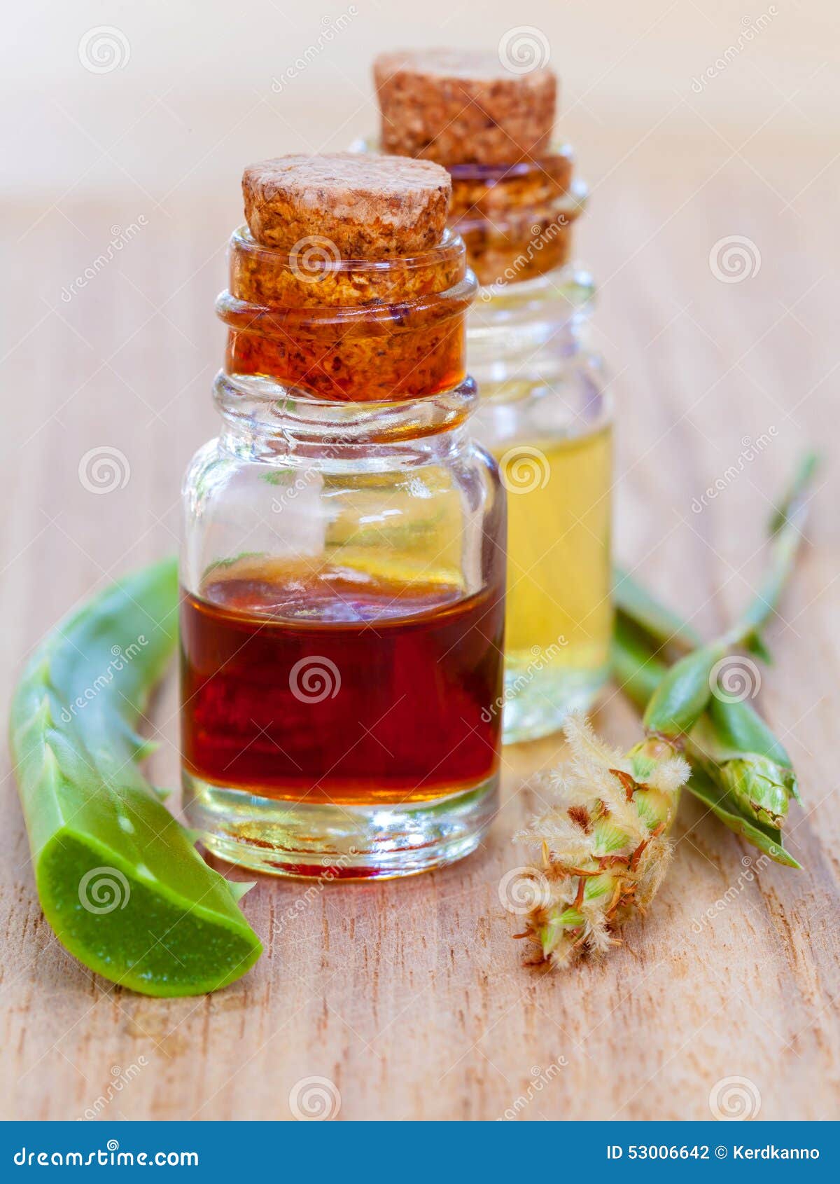 Spa Essential Oil stock photo. Image of pure, relax, natural - 53006642