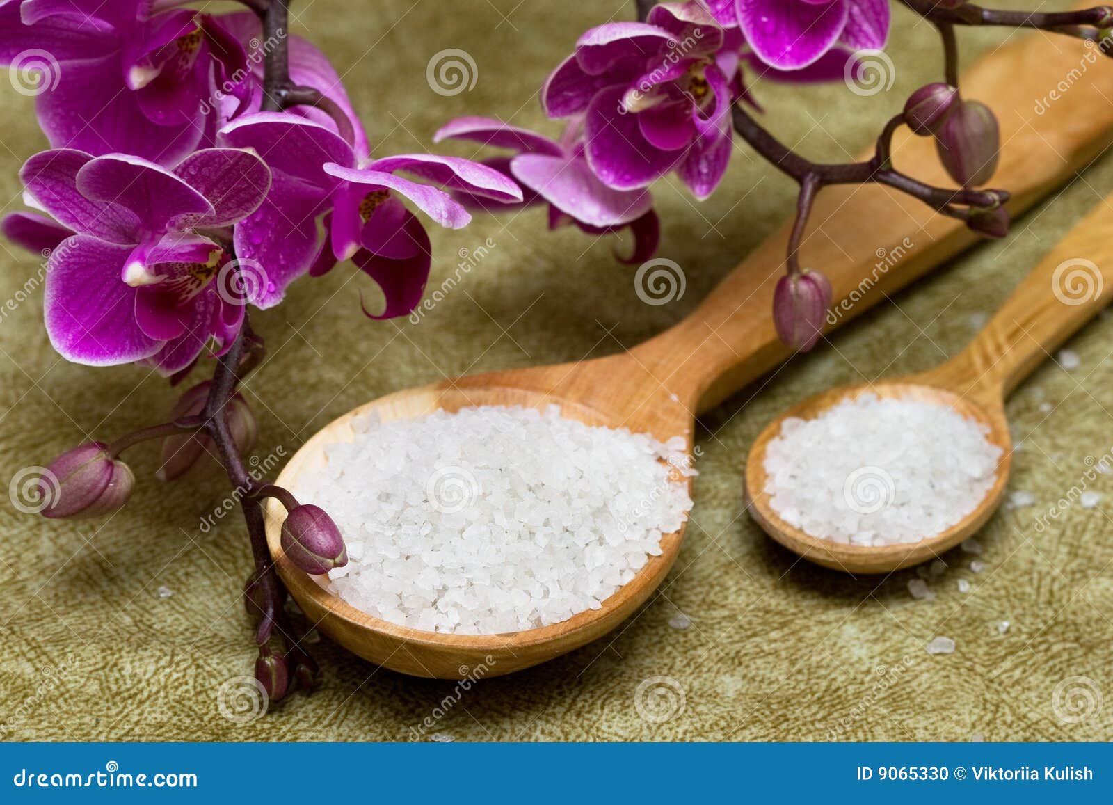 Spa essentials stock photo. Image of hygiene, bowl, dispenser - 9065330