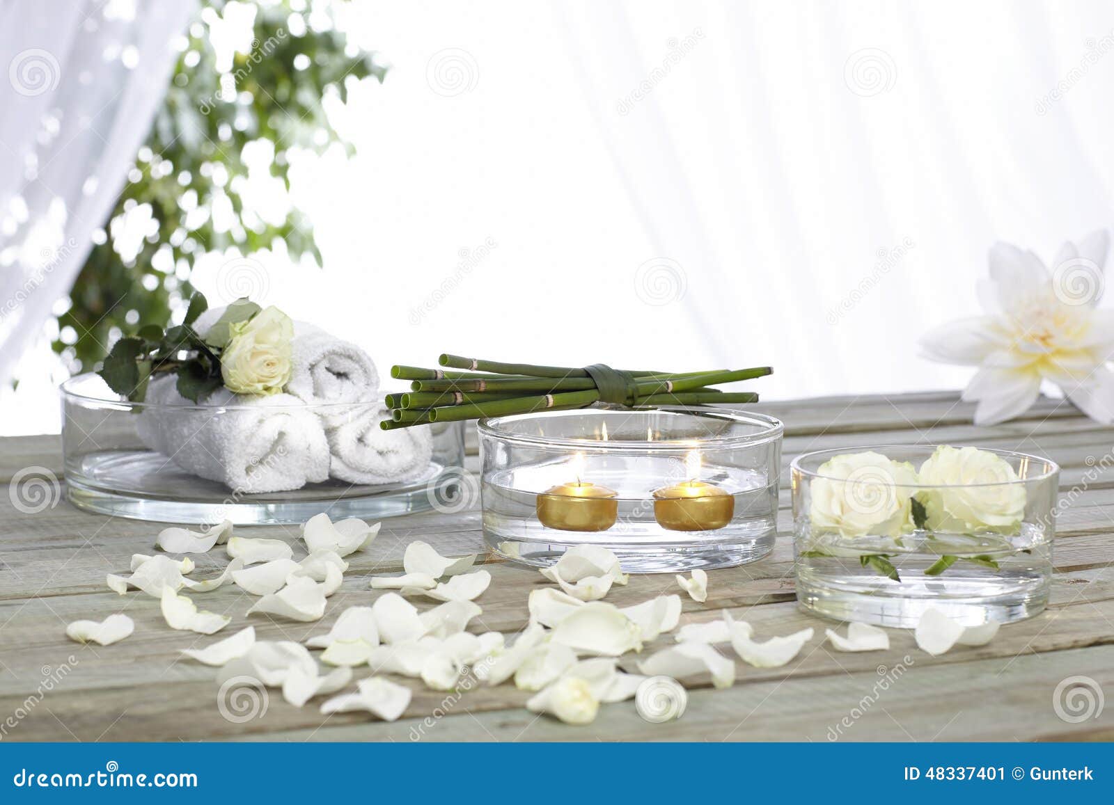 Spa essentials stock image. Image of health, cosmetics - 48337401