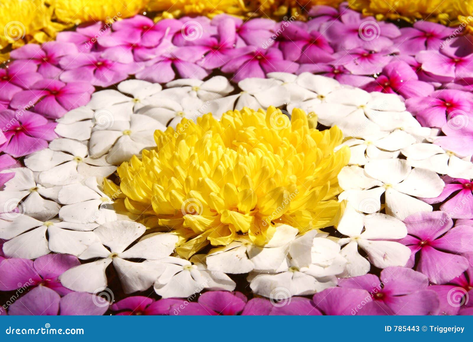 Spa Flora Decoration stock image. Image of nature, element - 785443