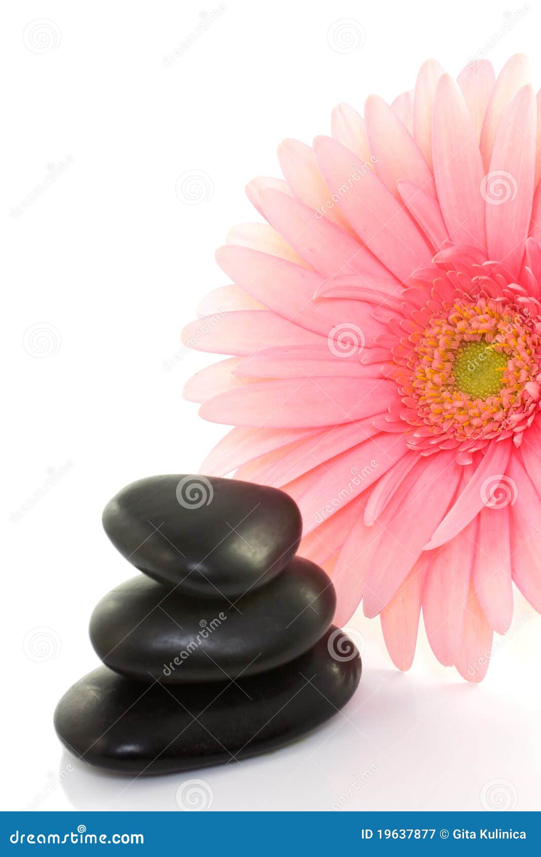 Spa and flower. stock image. Image of isolated, green - 19637877