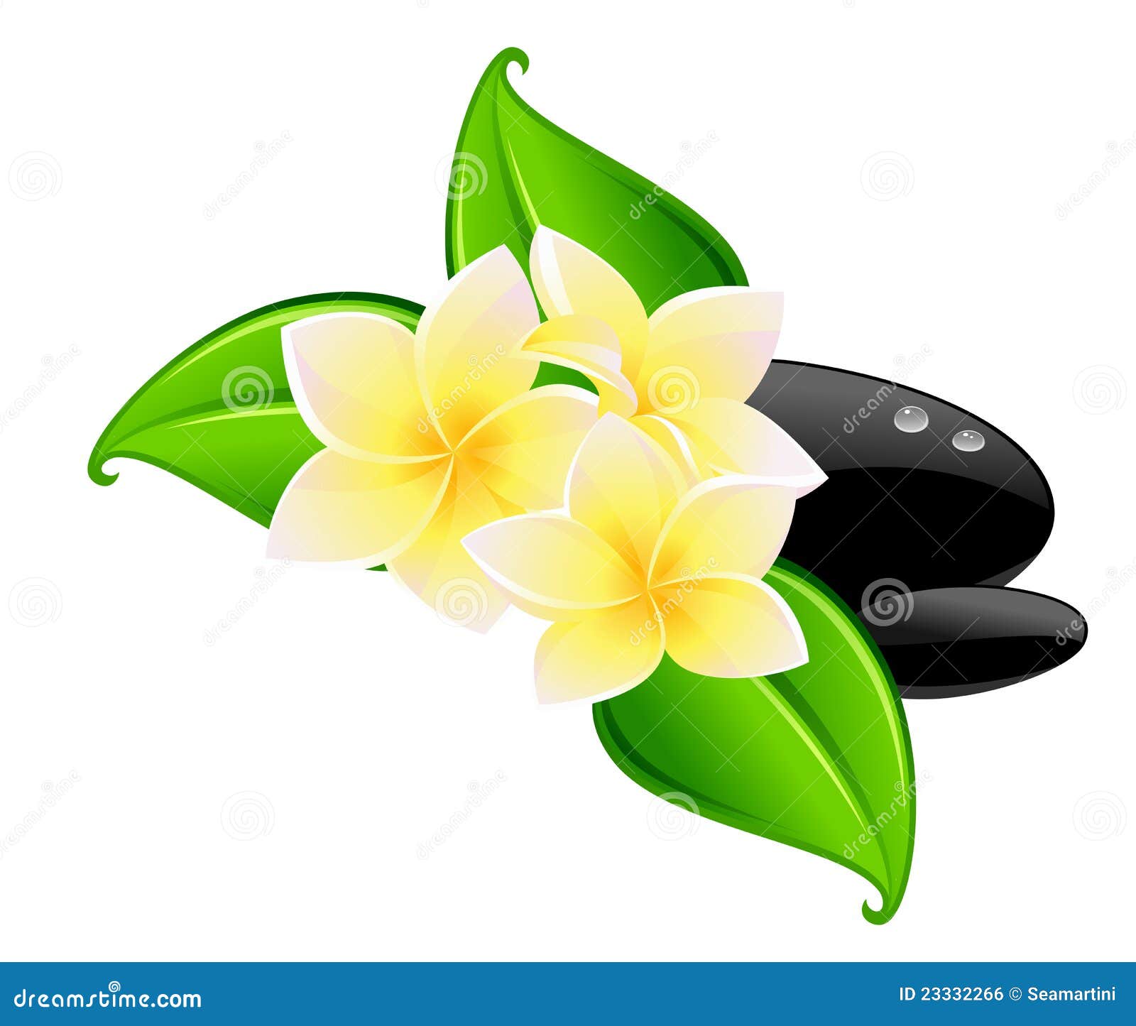 Spa and flower stock vector. Illustration of pebble, natural - 23332266