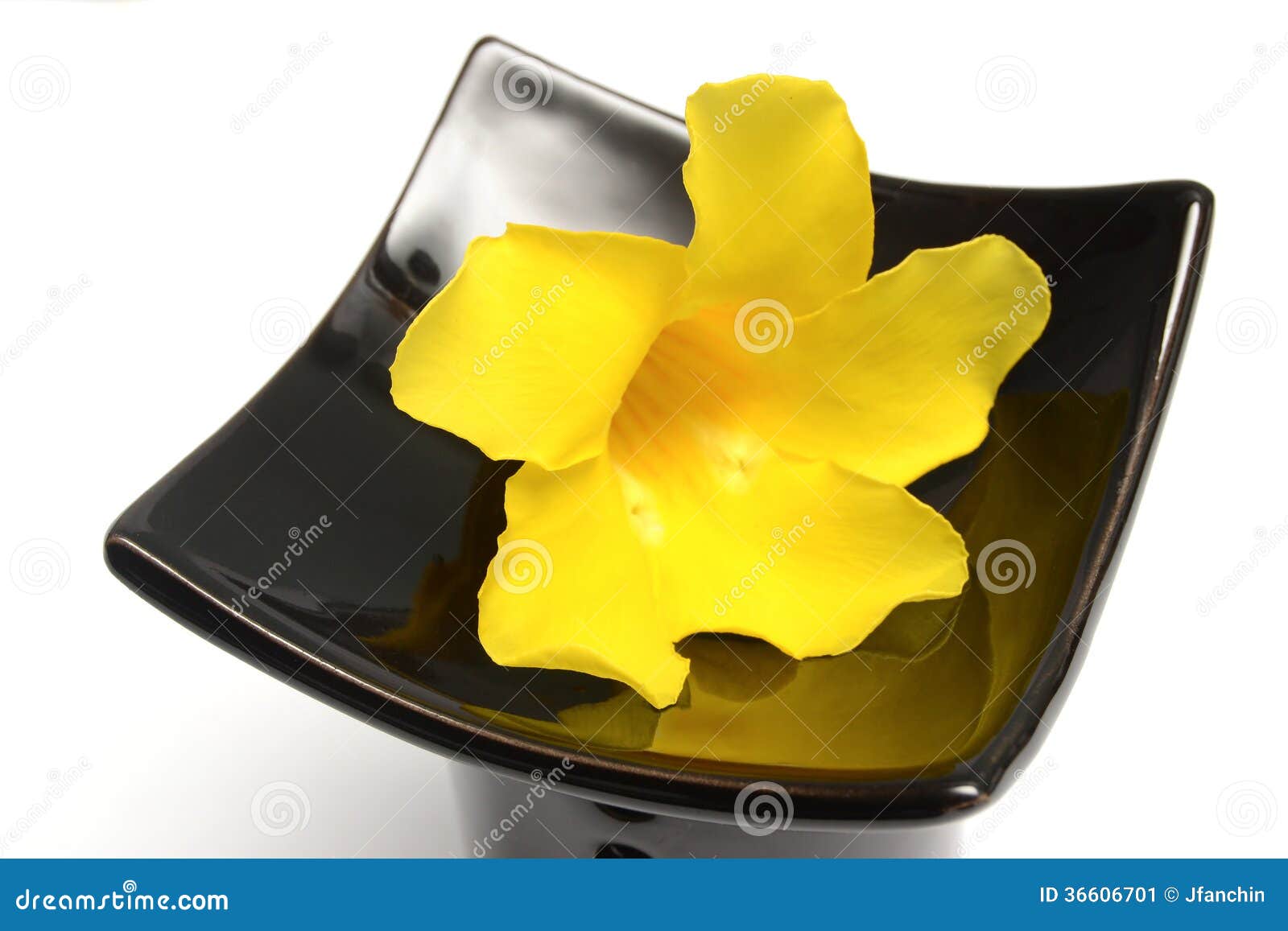 Spa flower stock image. Image of pure, tranquility, quiet - 36606701