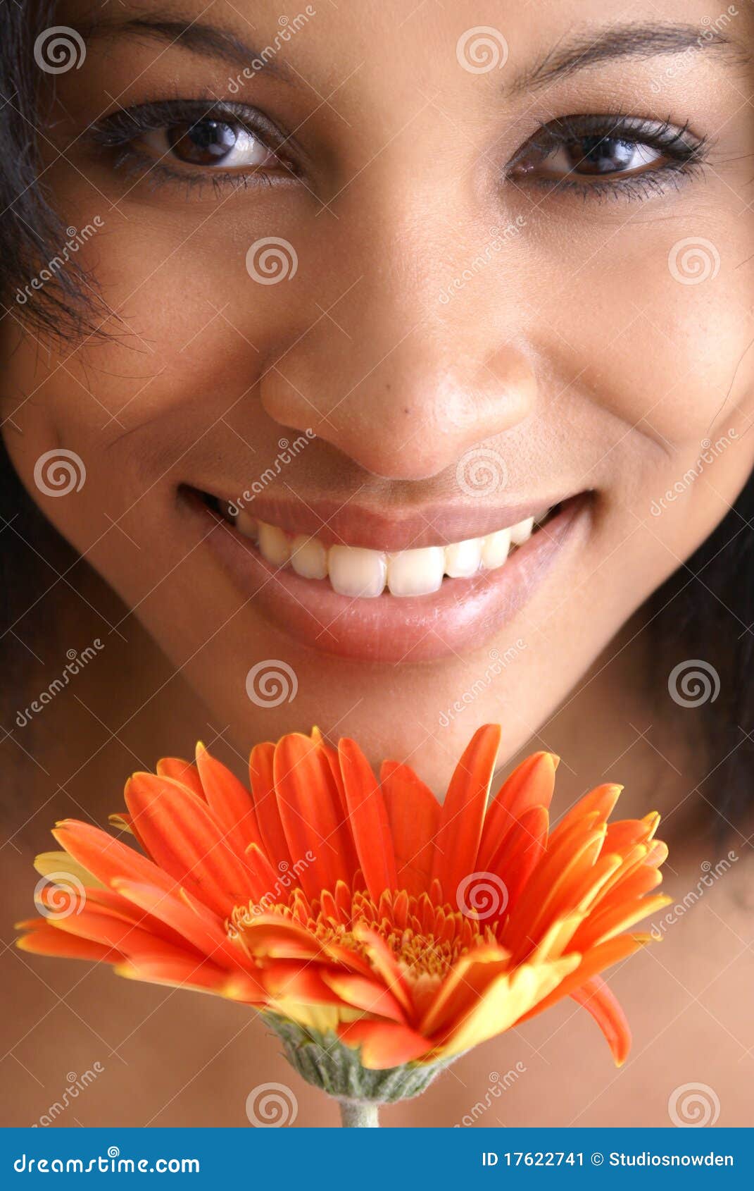 13,108 Daisy Spa Photos - Free & Royalty-Free Stock Photos from Dreamstime