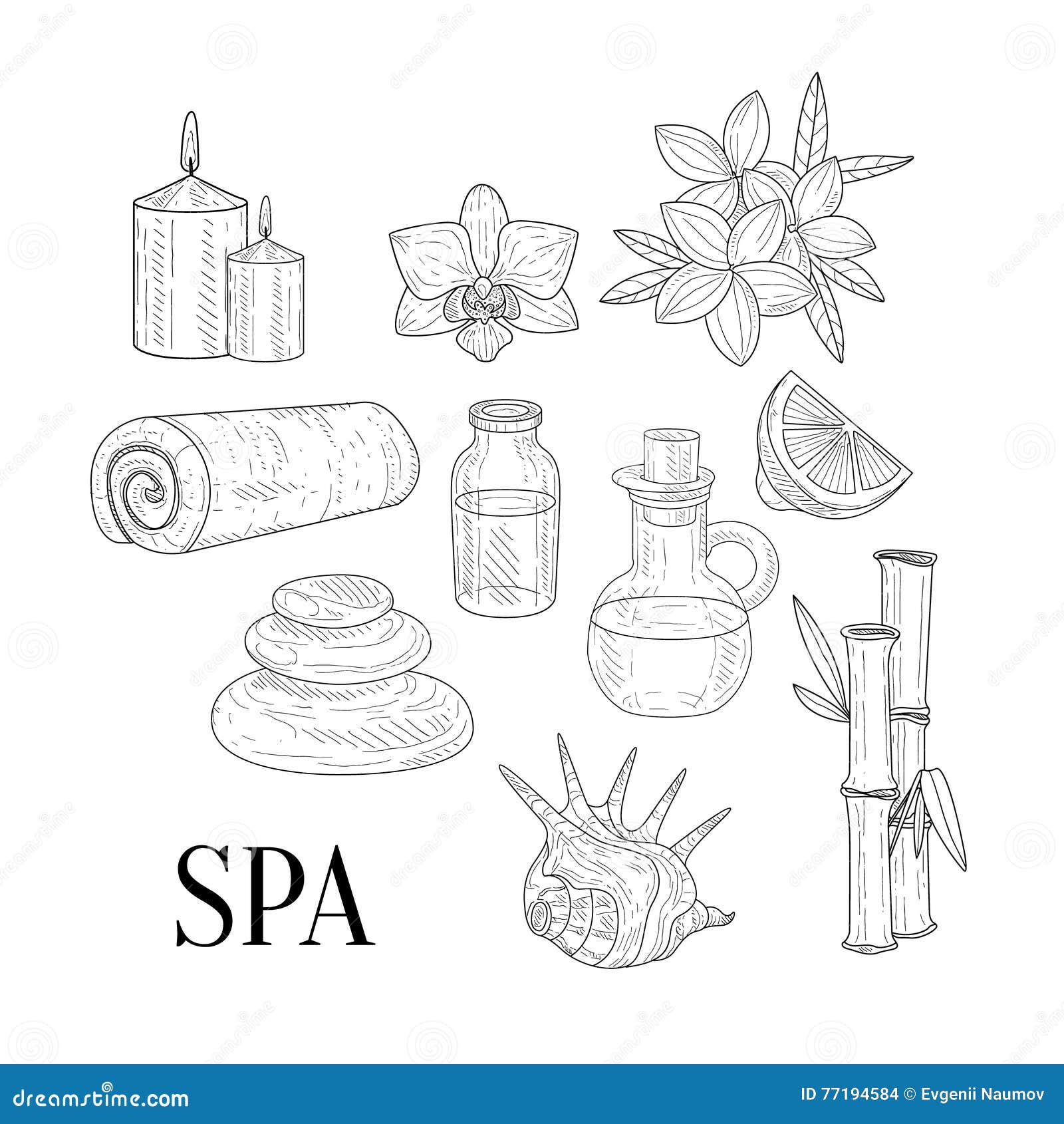 Spa Hand Drawn Realistic Sketches Stock Vector Illustration Of Health