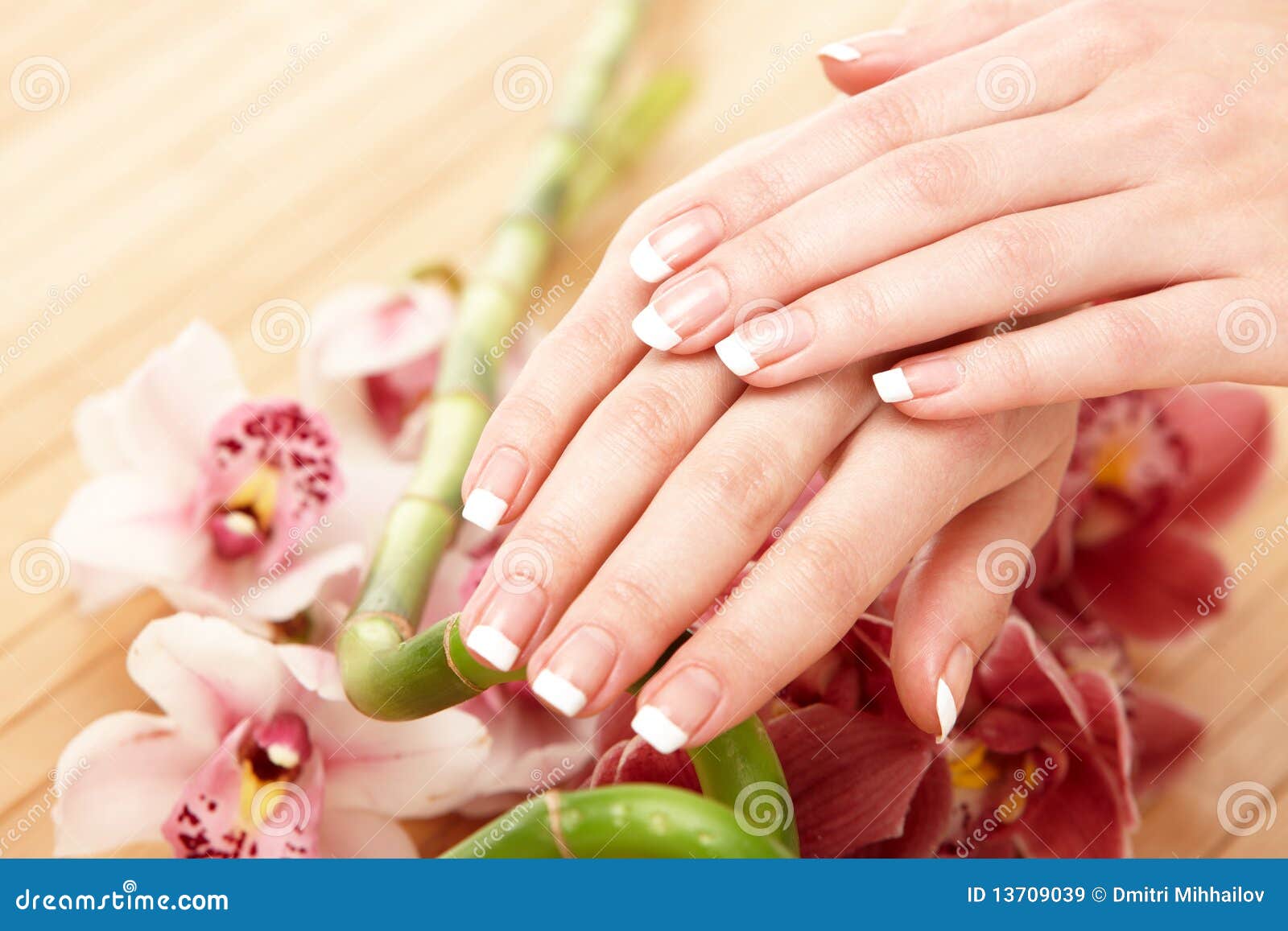 Spa hands stock image. Image of laque, flowers, arms - 13709039