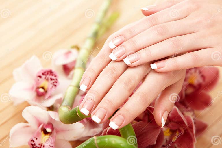 Spa hands stock image. Image of laque, flowers, arms - 13709039
