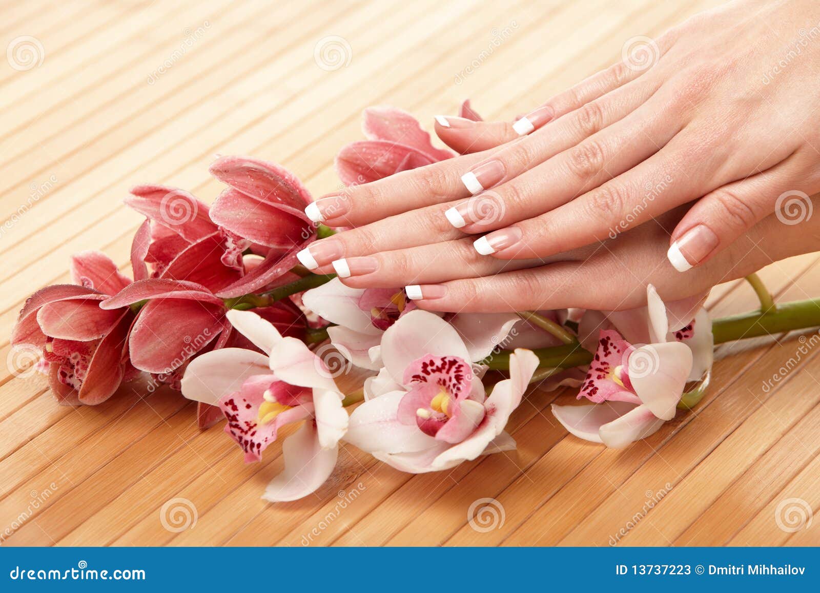 Spa hands stock image. Image of elegant, clean, manicure - 13737223