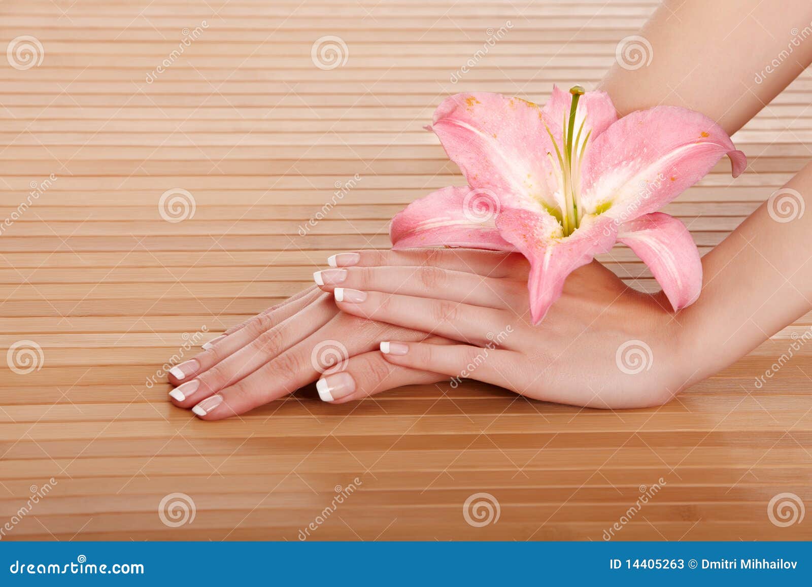 Spa hands stock image. Image of blossom, manicure, arms - 14405263
