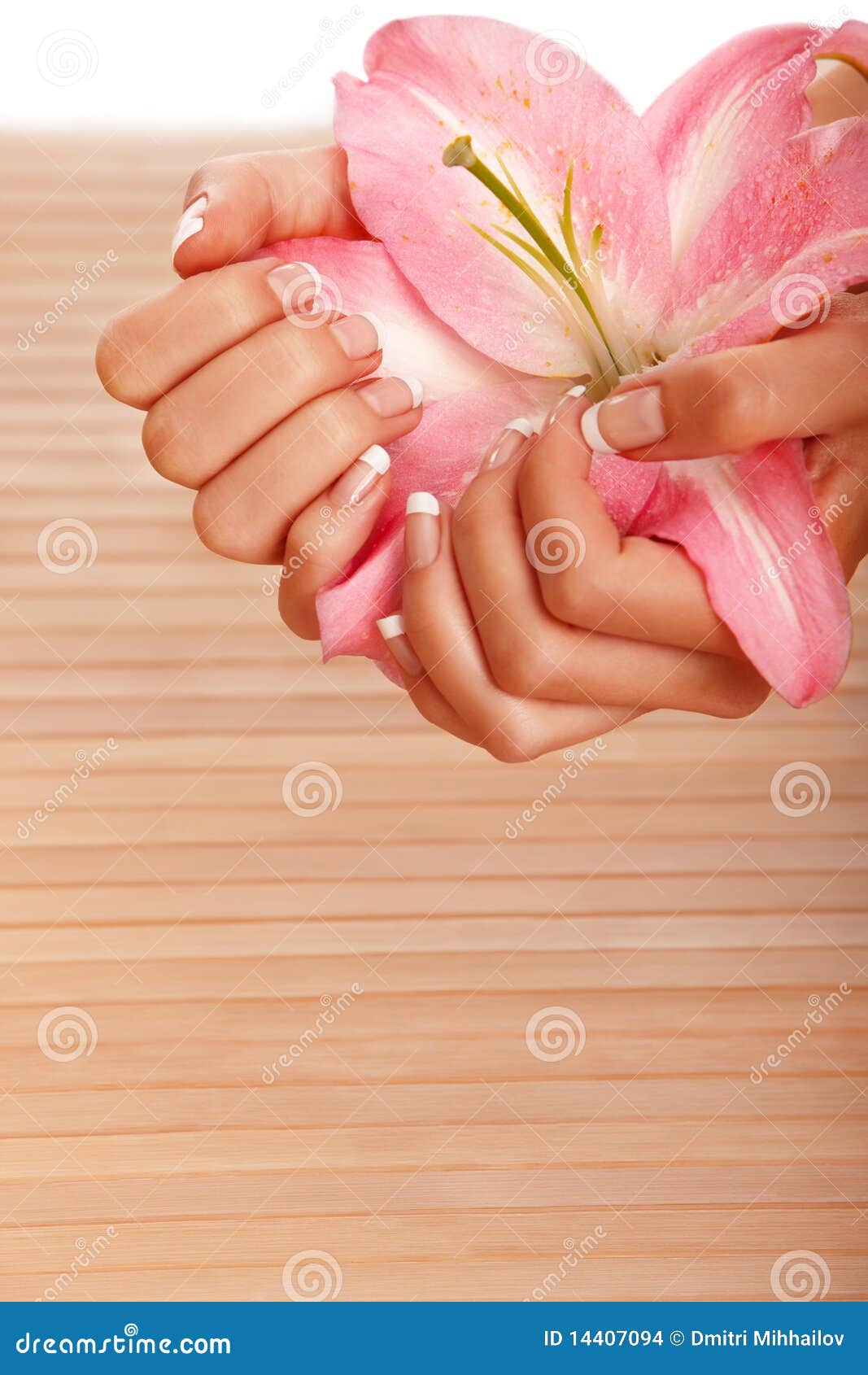 Spa hands stock photo. Image of elegance, female, flowers - 14407094