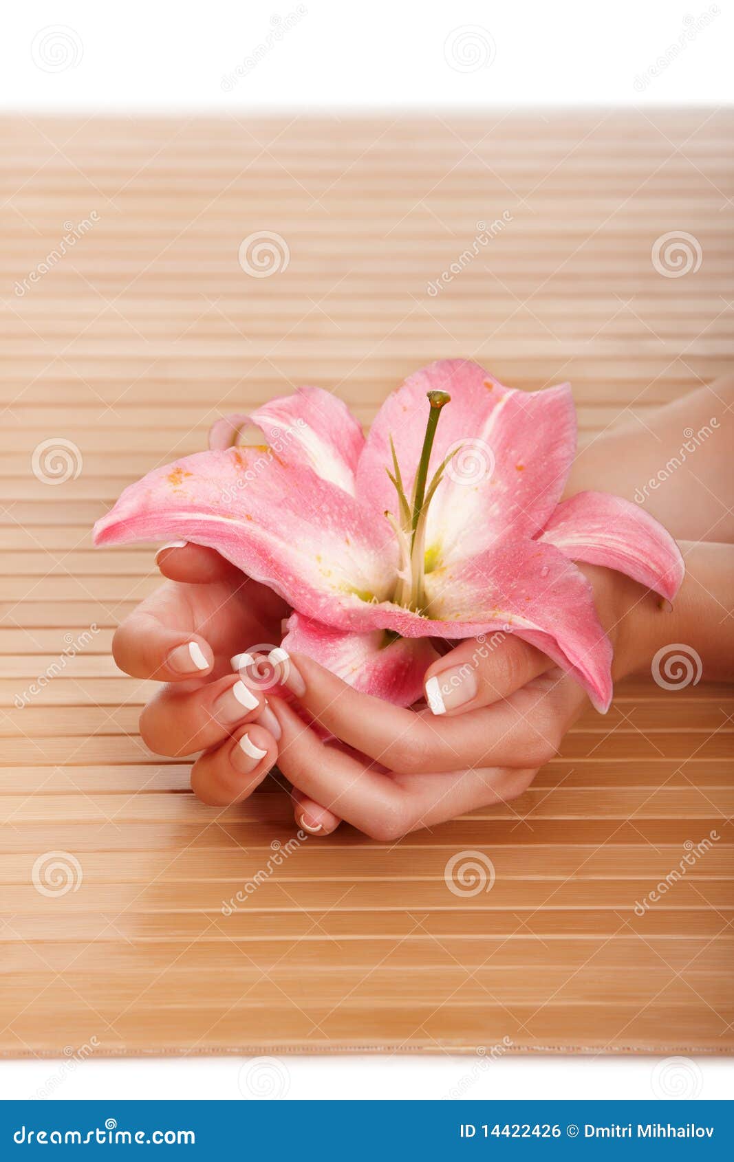 Spa hands stock photo. Image of clean, manicure, copyspace - 14422426