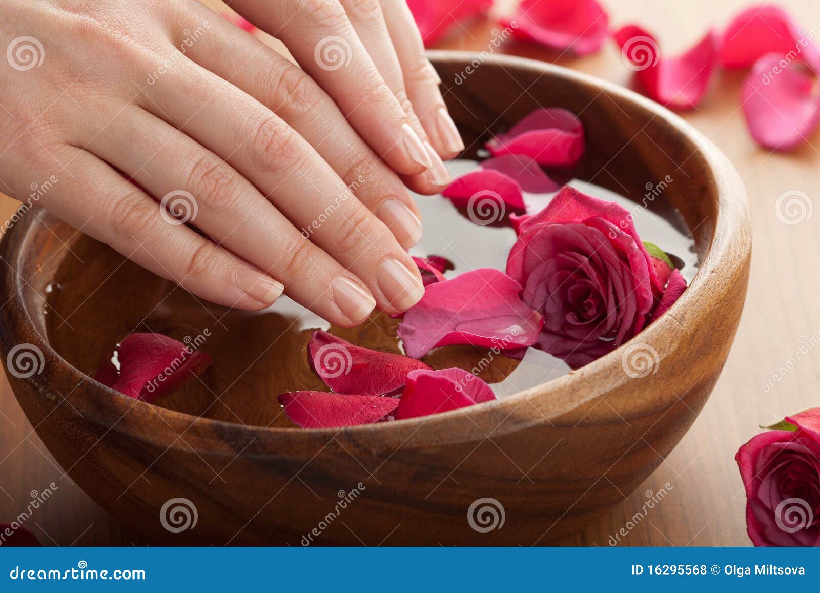 Spa for hands stock photo. Image of luxury, health, female - 16295568