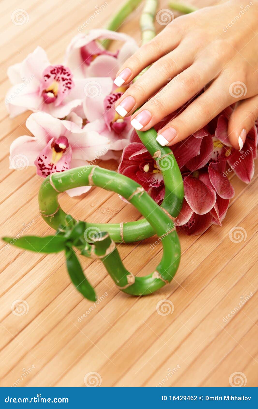 Spa hands stock photo. Image of care, female, closeup - 16429462