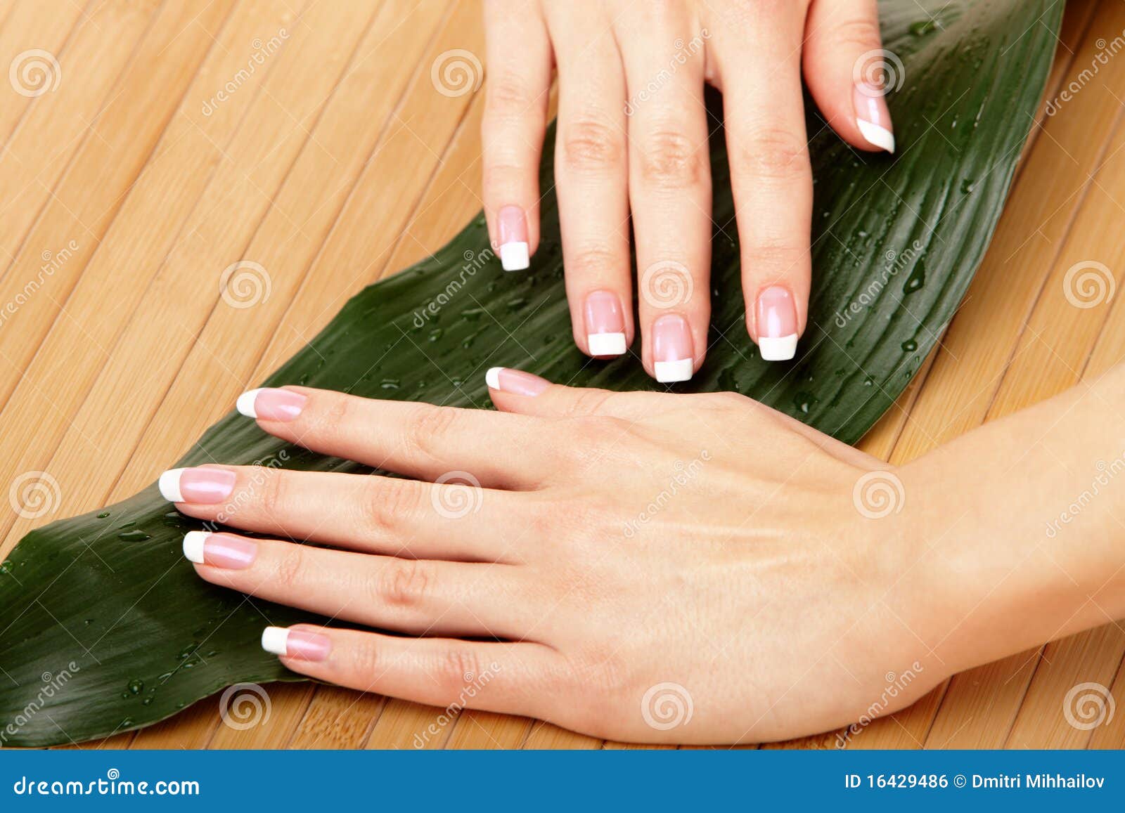 Spa hands stock photo. Image of leaf, fist, care, perfection - 16429486