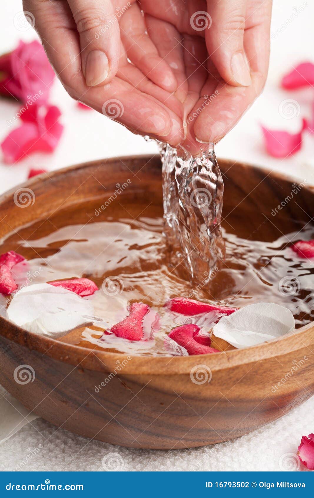 Spa for hands stock photo. Image of rose, pour, hand - 16793502