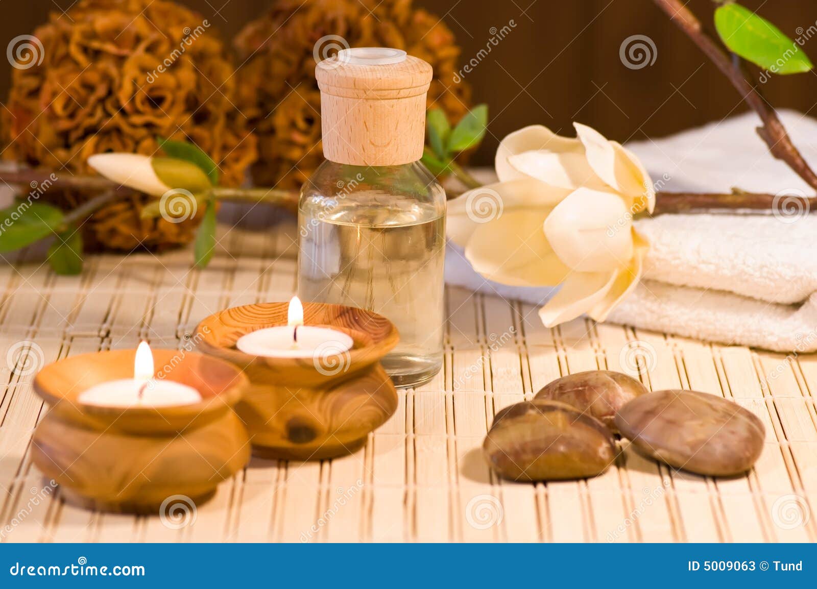 Spa items stock image. Image of wood, health, bodycare - 5009063