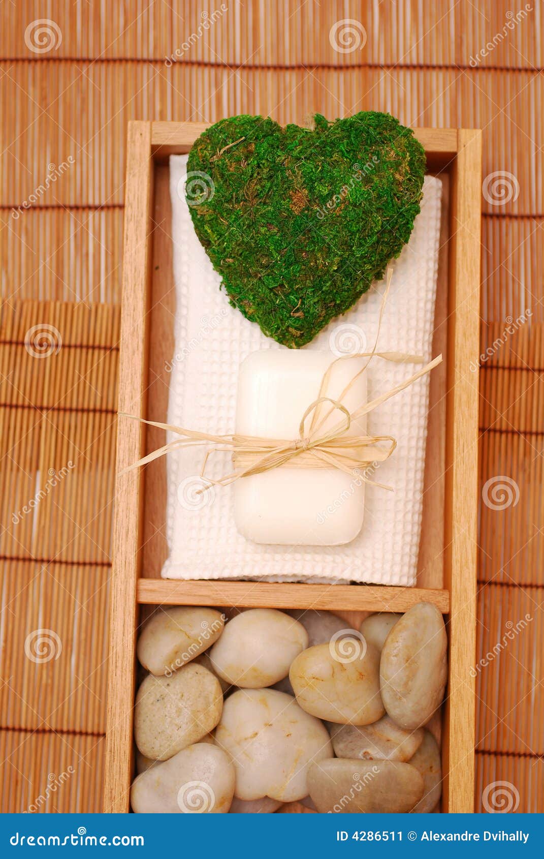 SPA Kit for wellness stock image. Image of aroma, item - 4286511
