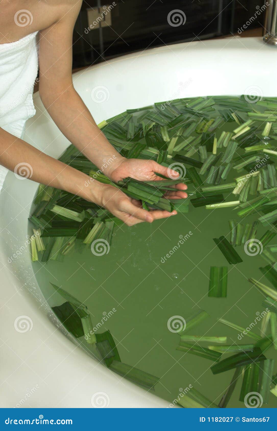 Spa leaves bath stock image. Image of treatment, green - 1182027