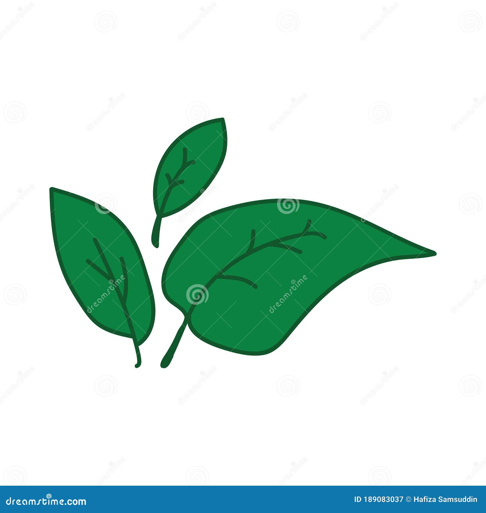 Spa Leaves. Vector Illustration Decorative Design Stock Vector ...