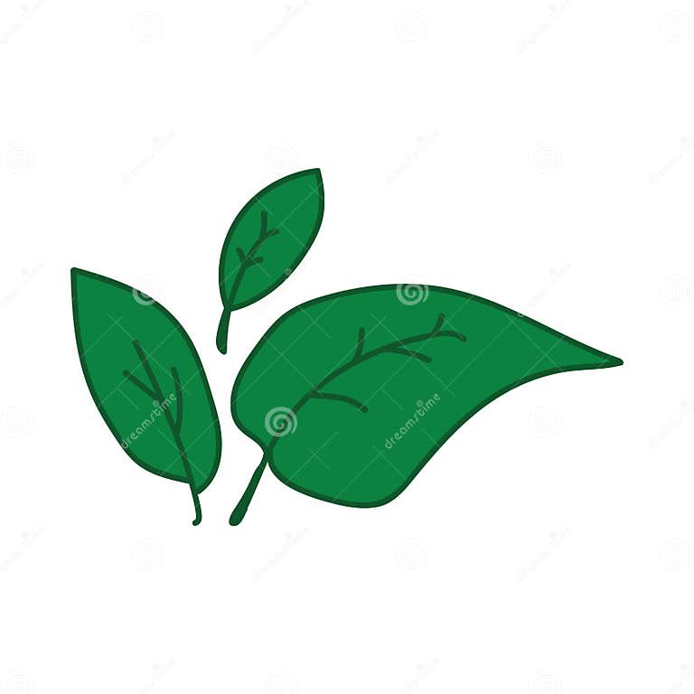 Spa Leaves. Vector Illustration Decorative Design Stock Vector ...