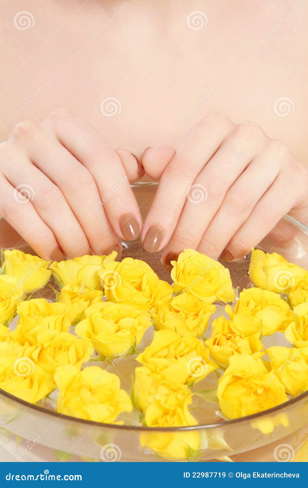 Spa manicure stock image. Image of purity, flowers, girl - 22987719