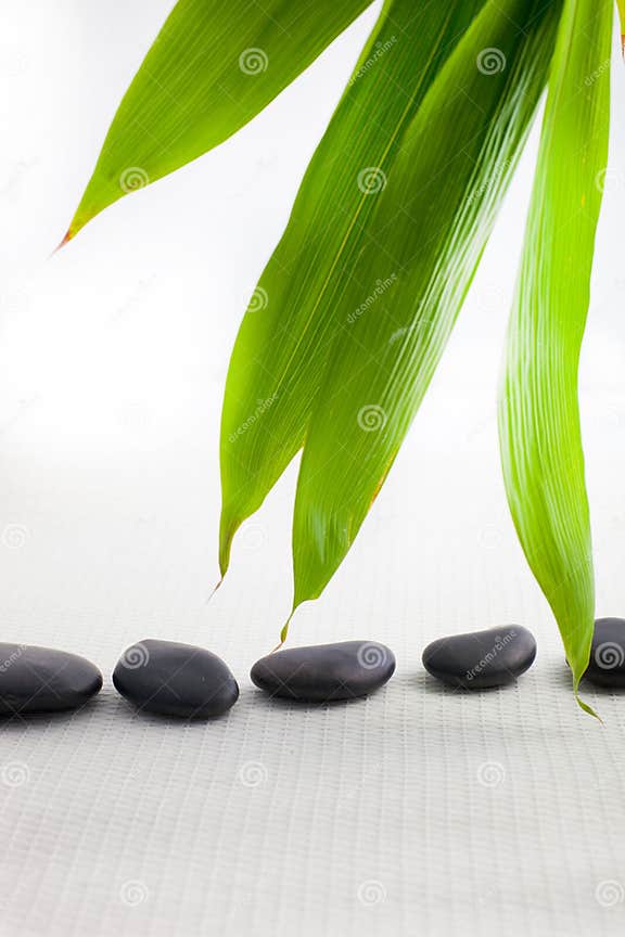 Spa Massage Stones With Fresh Bamboo Leaves Stock Image Image Of Stones Basalt 36547963