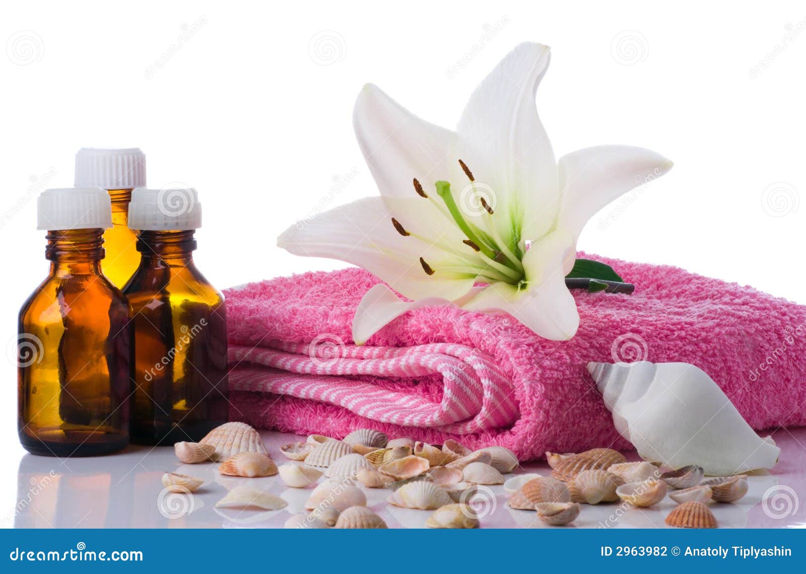 Spa objects and flower stock photo. Image of nature, beauty - 2963982