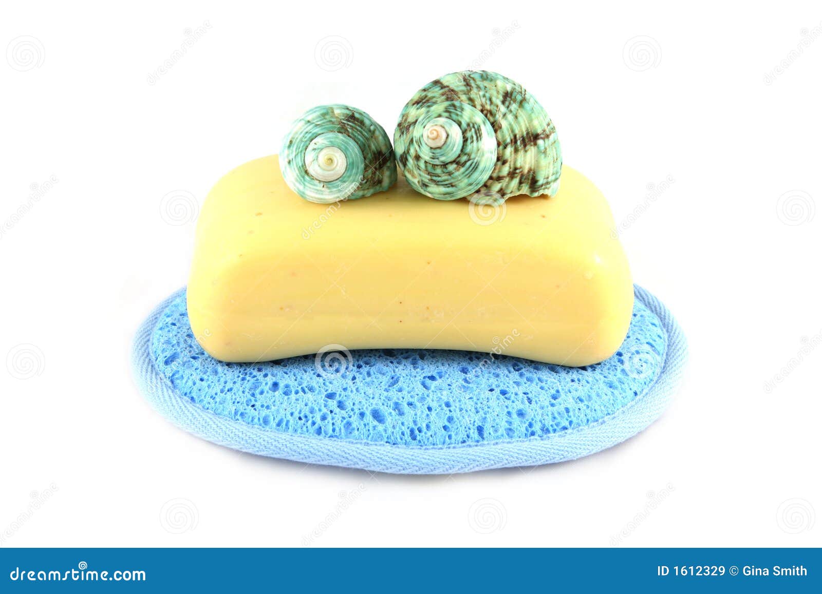 Sponge Alive Isolated White Stock Photos - Free & Royalty-Free Stock ...