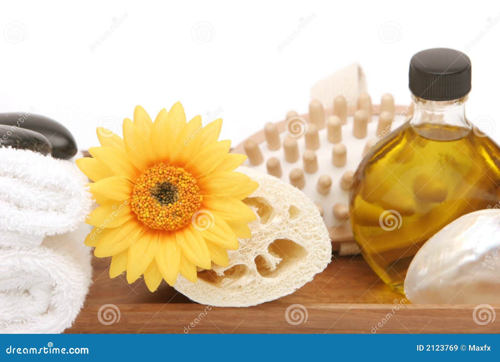 Spa objects in tray stock image. Image of copyspace, cleansing - 2123769