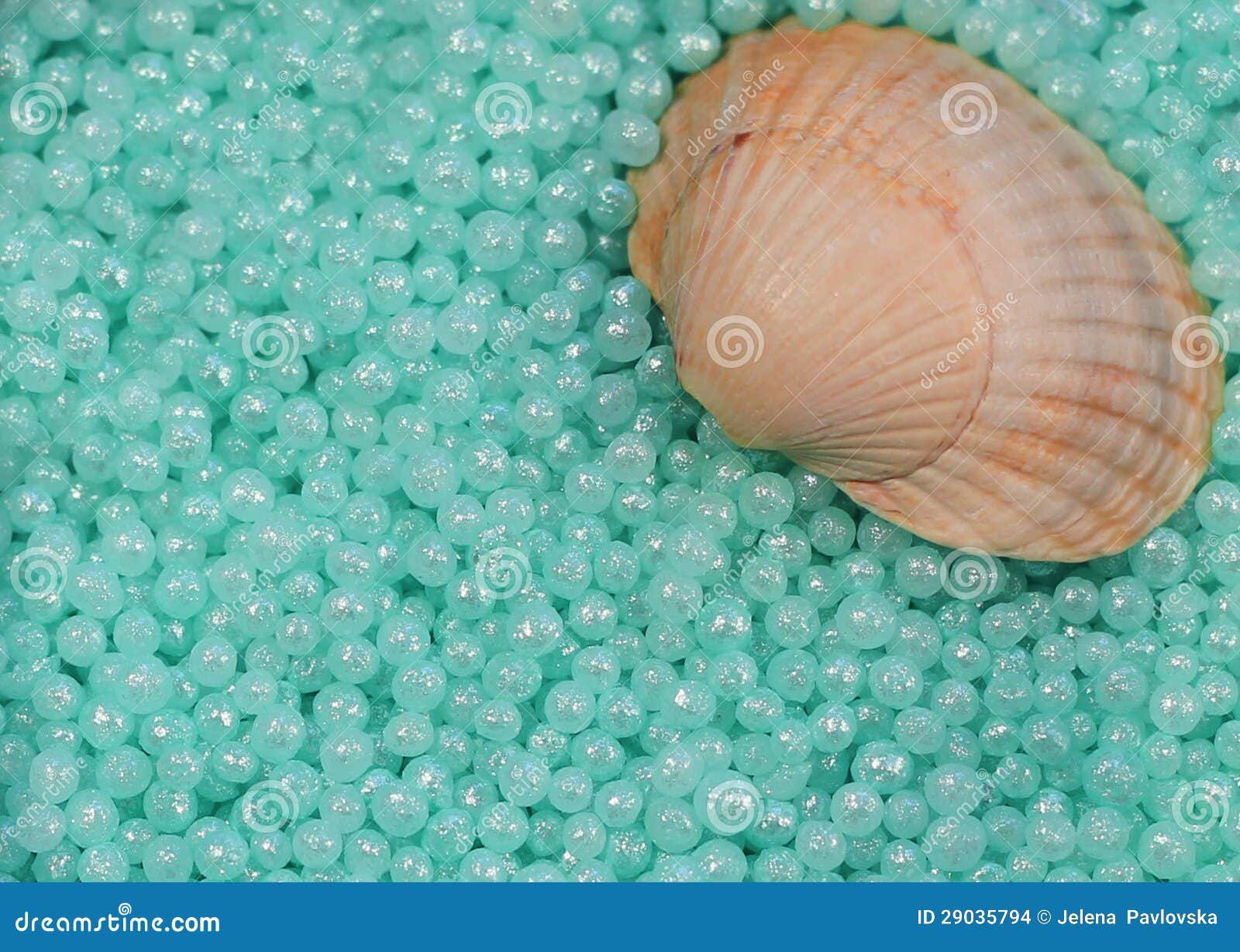 Spa pearls and shell stock photo. Image of clean, background - 29035794