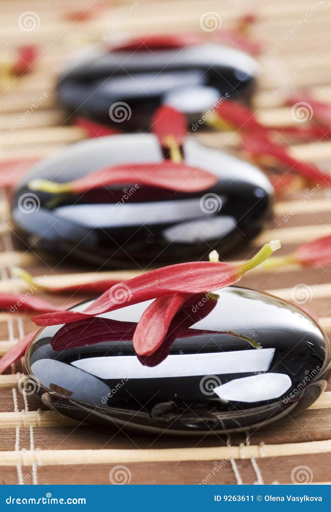 Spa rock stock image. Image of water, flower, alternative - 9263611