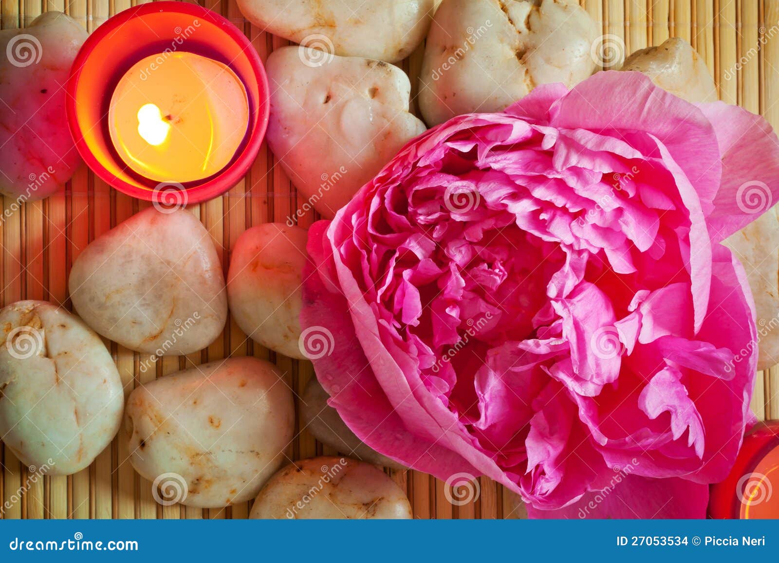 Spa scene with pink peony stock photo. Image of aromatic - 27053534