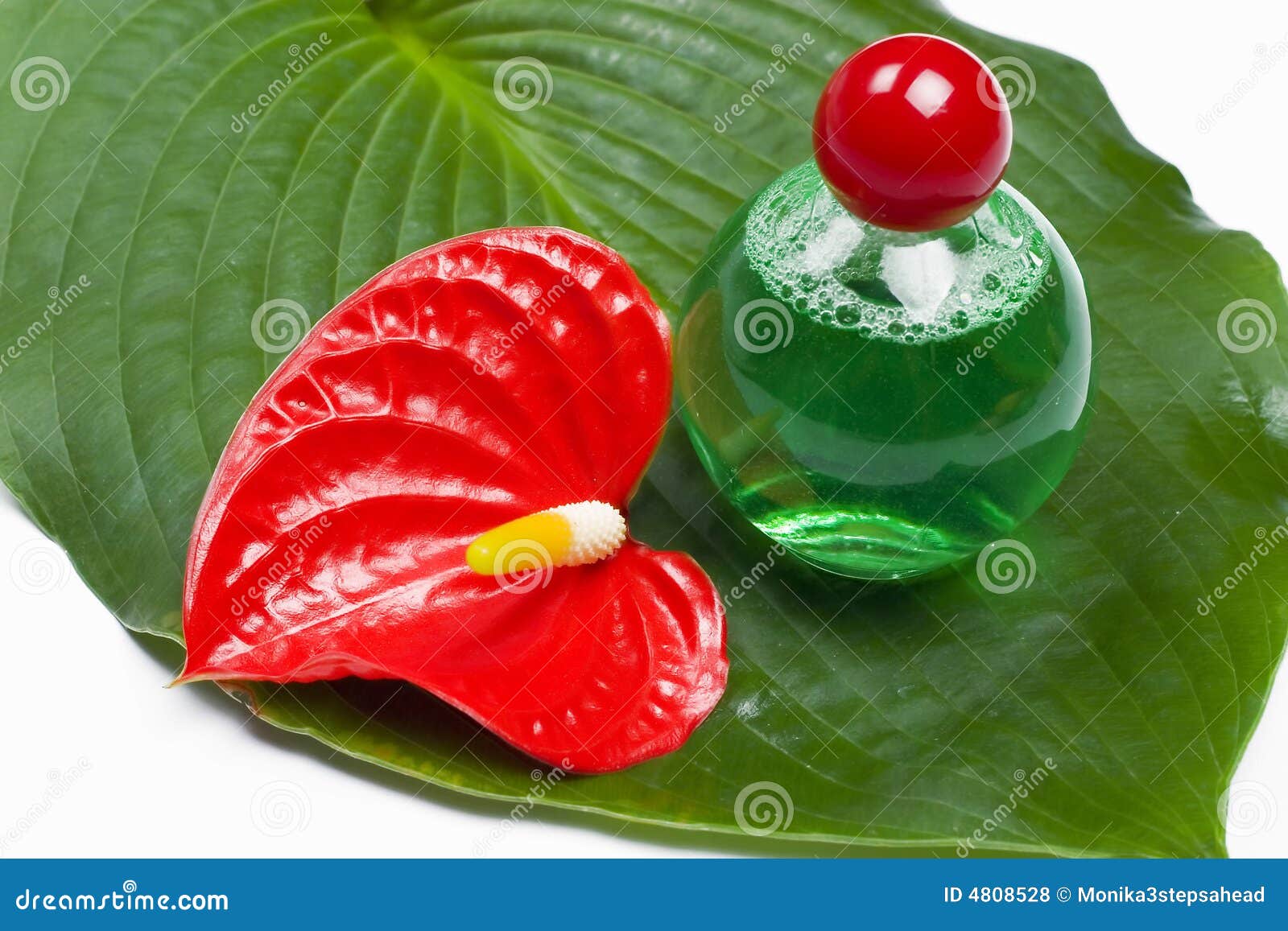 Spa Scenery Picture. Image: 4808528