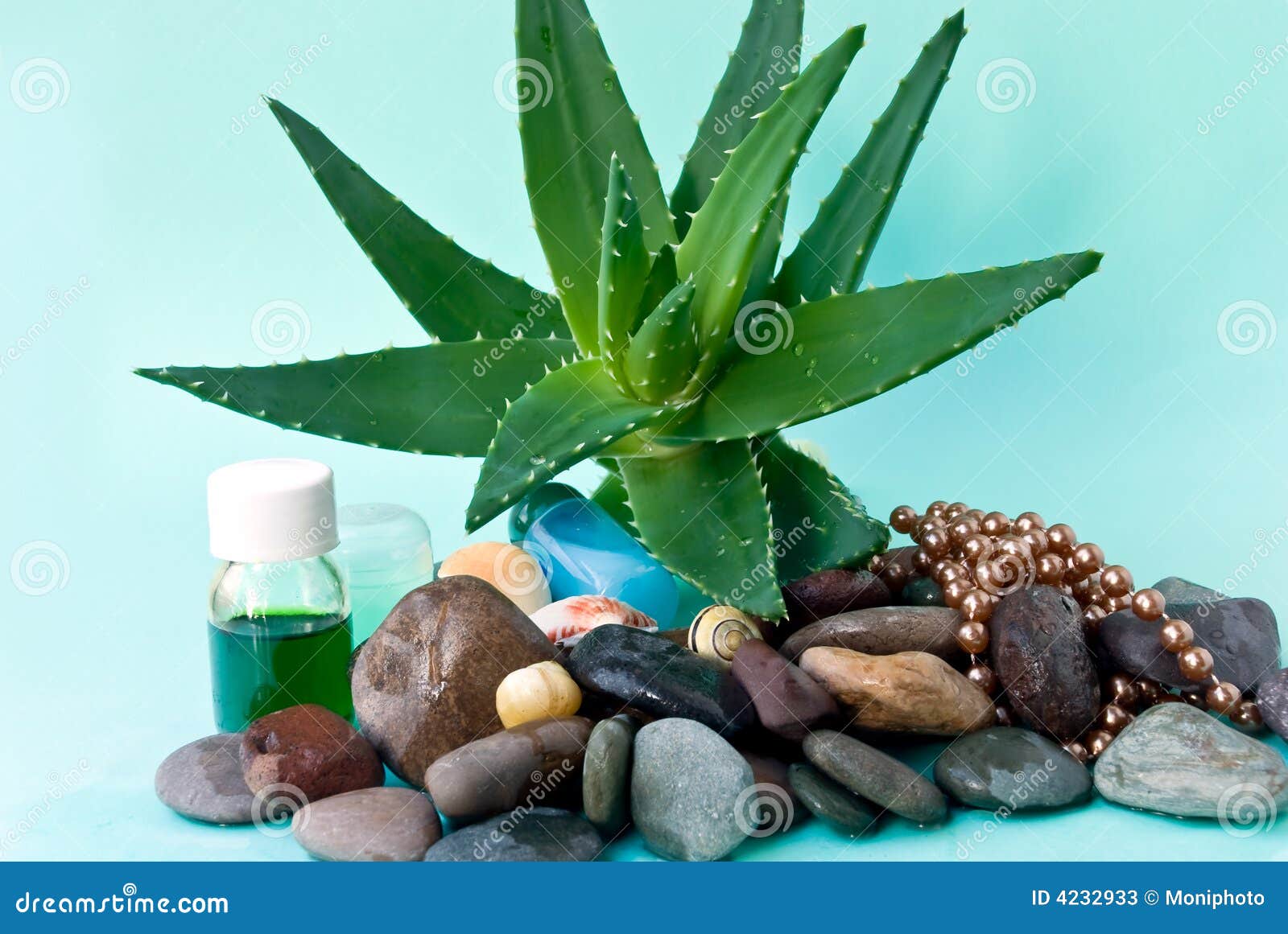 Spa Set with Aloe and Massage Oil Stock Image - Image of textile ...