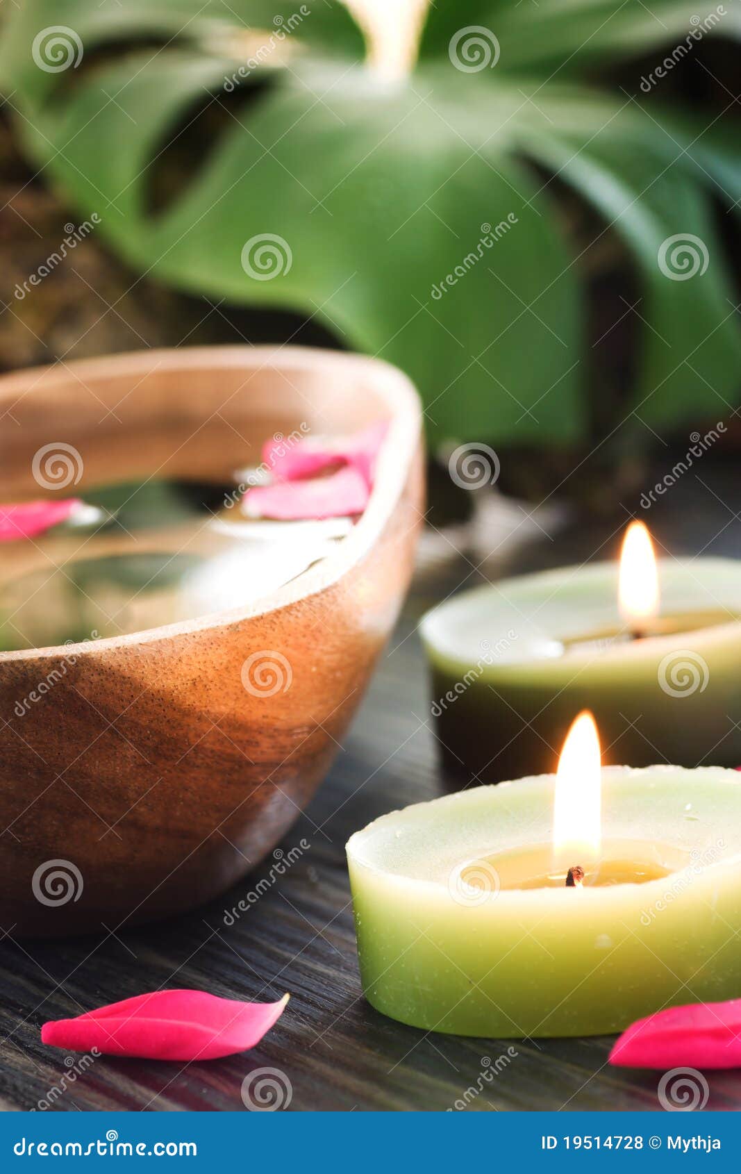 Spa setting stock photo. Image of natural, luxury, nature - 19514728