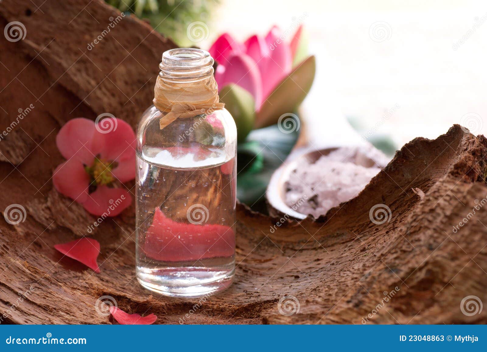 Spa Setting with Floral Water Stock Image - Image of nature, natural ...