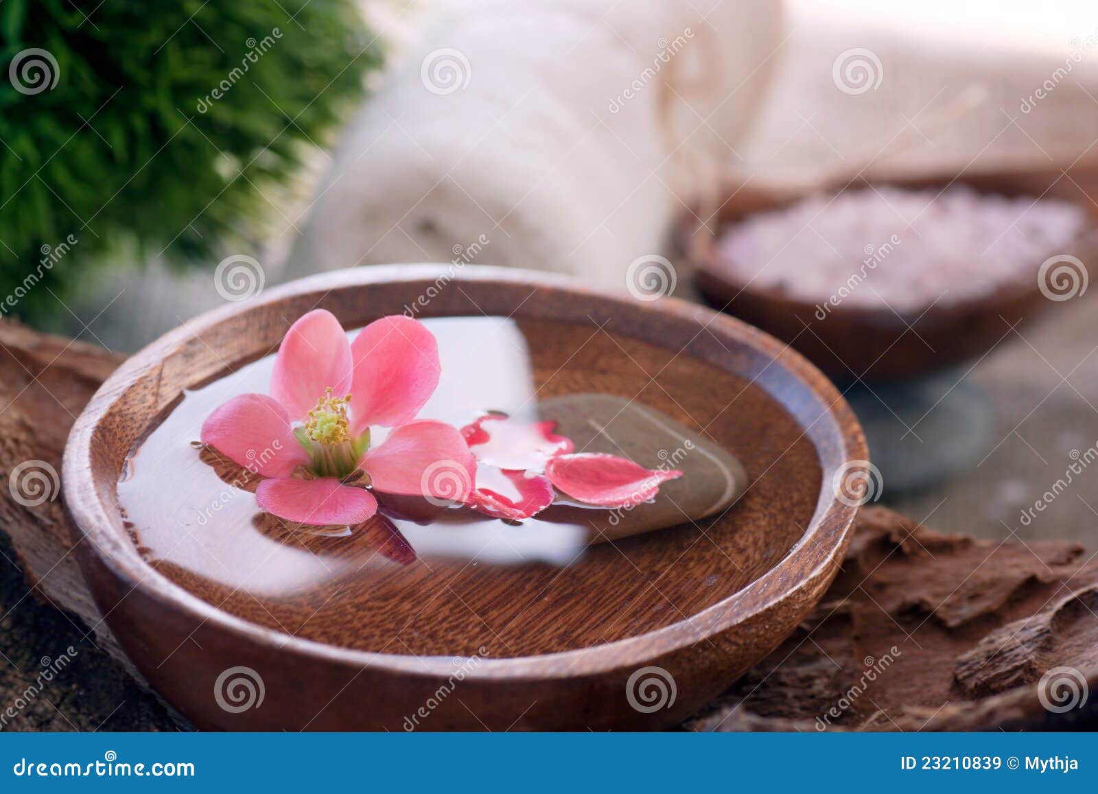 Spa Setting with Floral Water Stock Image - Image of floral, health ...