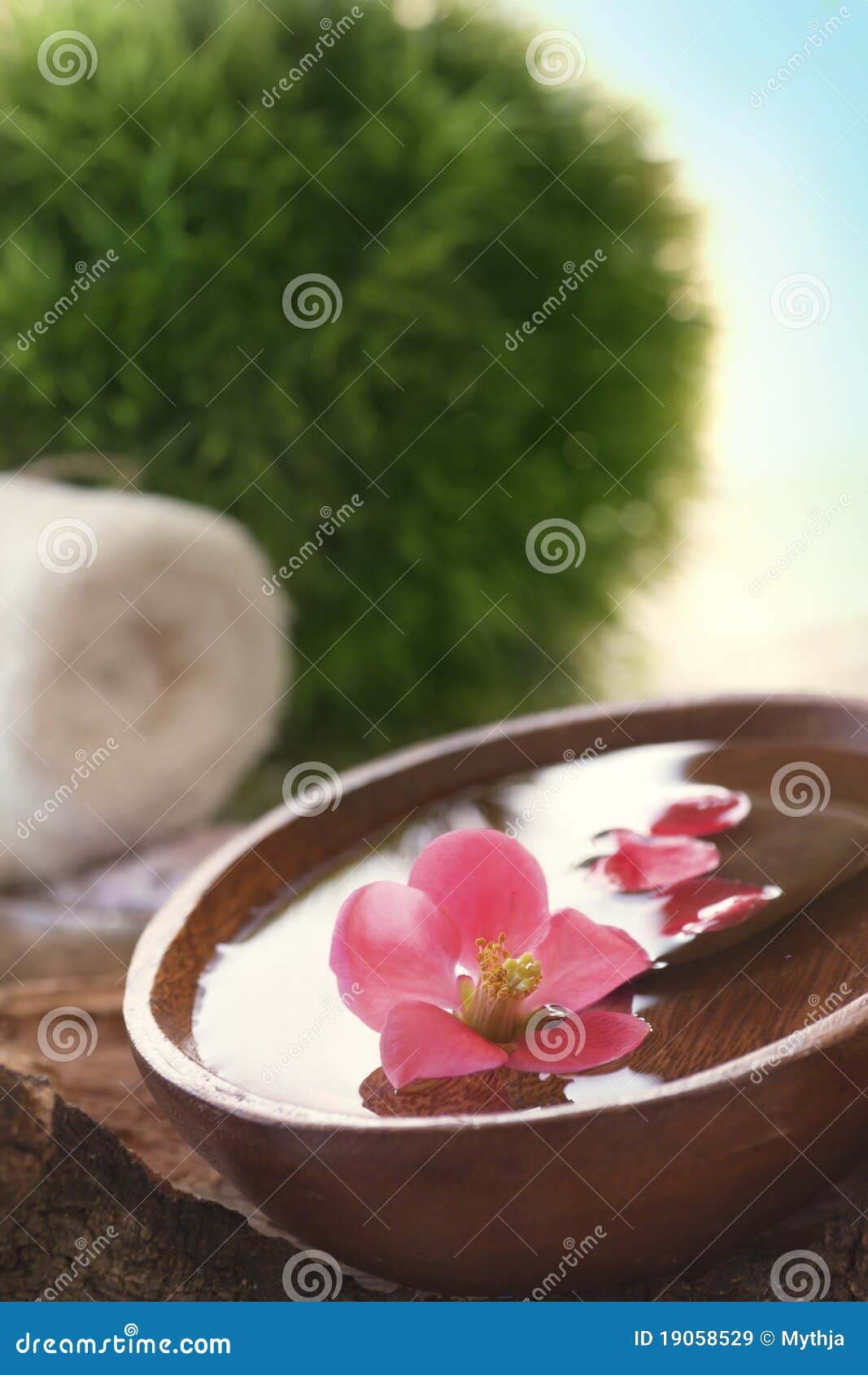 Spa setting with flower stock image. Image of essential - 19058529